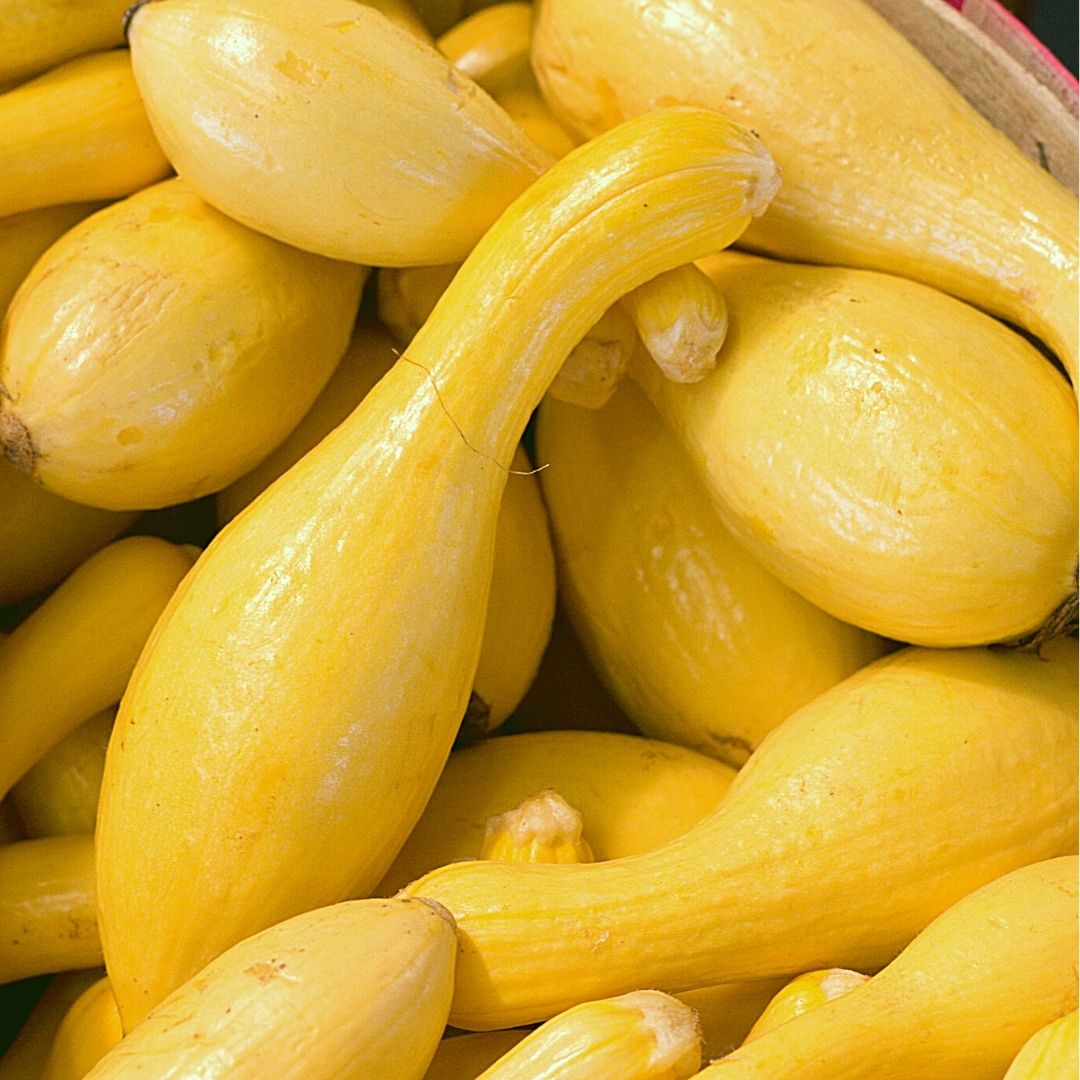 Buy Fresh Organic Vegetables Online | Home Delivery – Boxed Greens